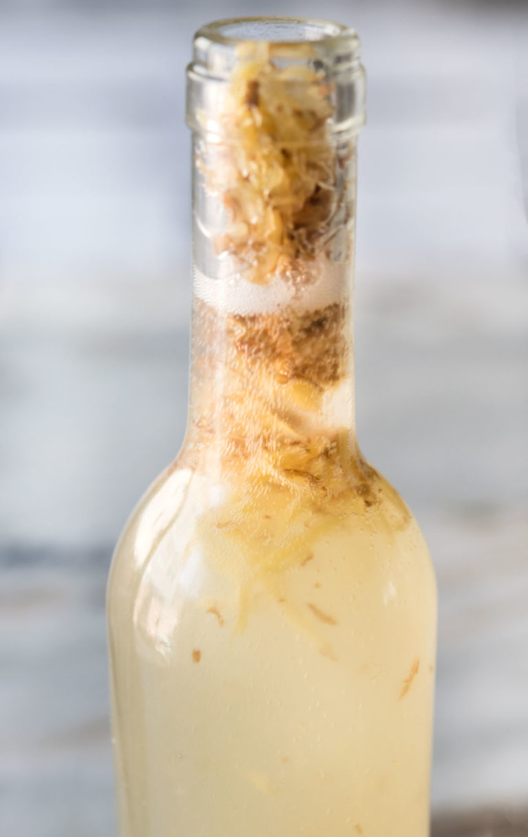 Ginger Bug: A Wild, Lacto-Fermented, Probiotic Beverage - WILD GREENS ...
