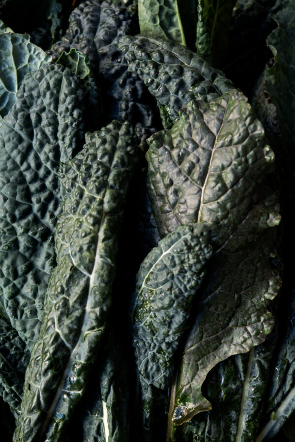Farinata di Cavalo Nero (Kale and Polenta Soup) - WILD GREENS & SARDINES